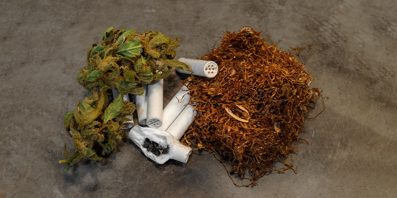 How To Properly Inhale Weed - Zamnesia